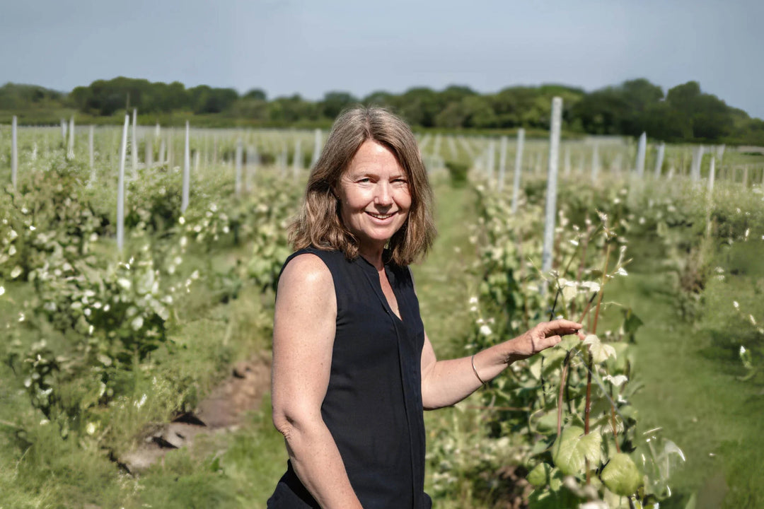 oxney-organic-estate – Drink FAB